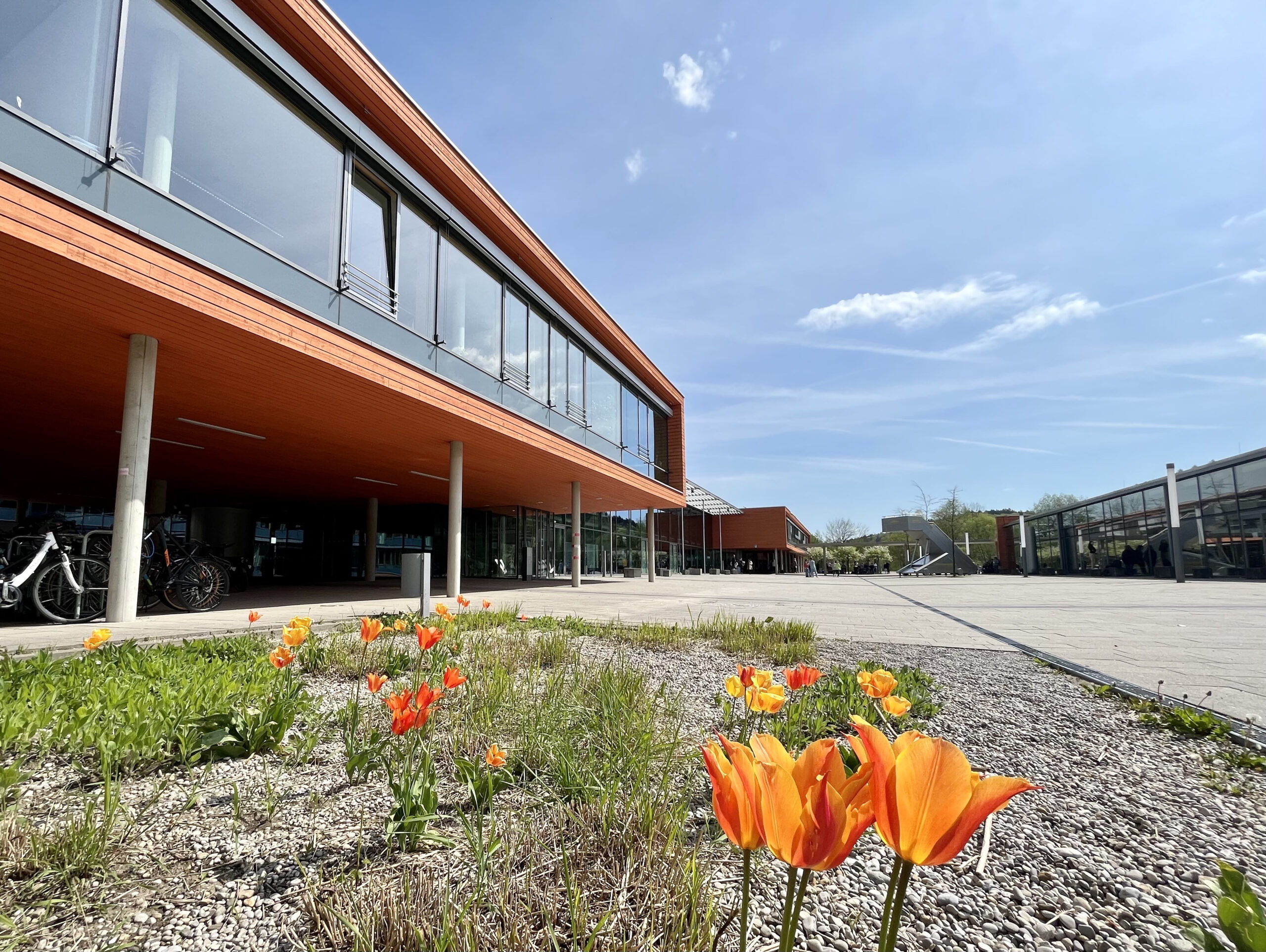 Graf-Rasso-Gymnasium Fürstenfeldbruck